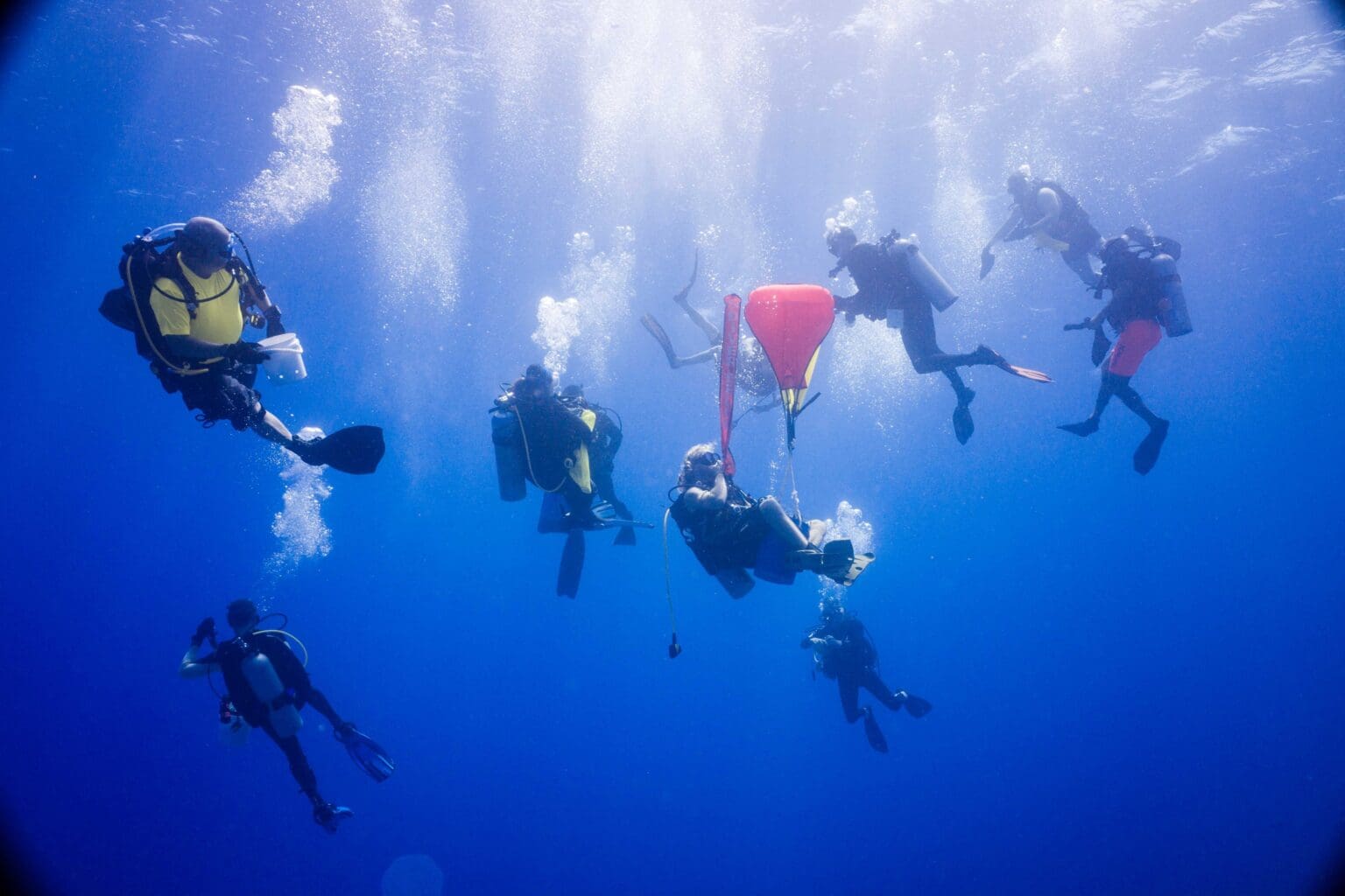 Scuba Diving Oahu – Certification Courses for All Levels | Honolulu ...